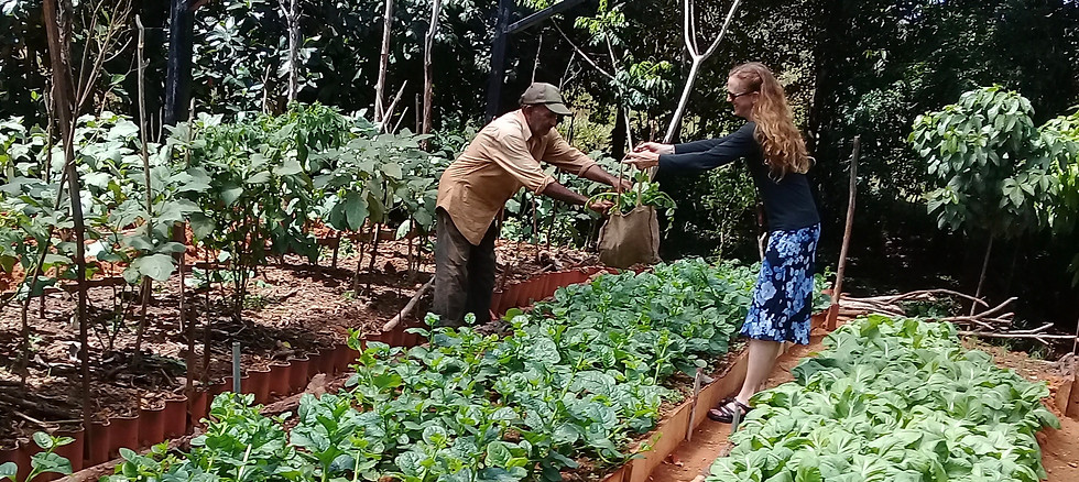 Morrillo Beach Eco Resort | Minimize Waste